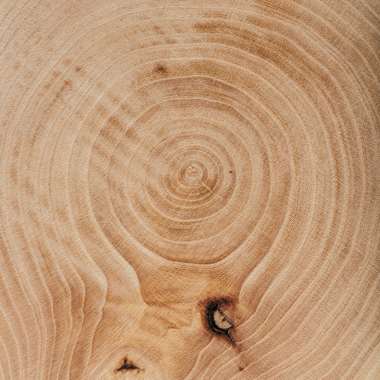 Esche Imprägnierung