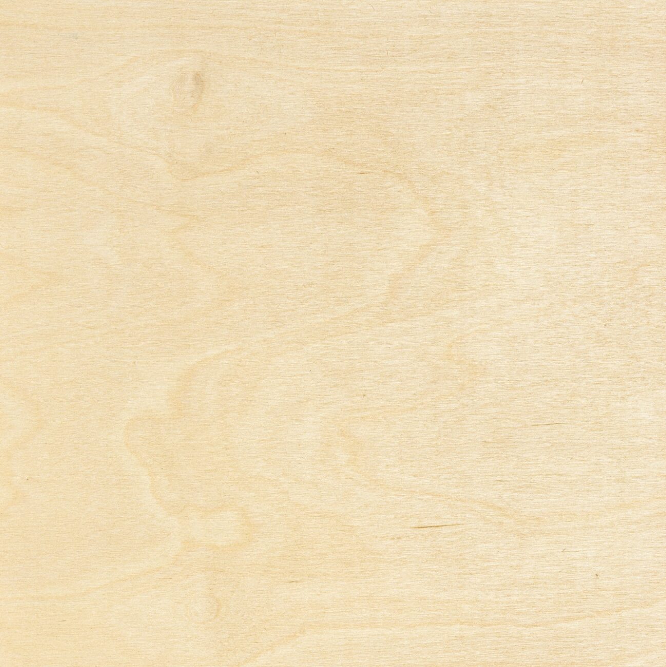 Birch wood impregnation