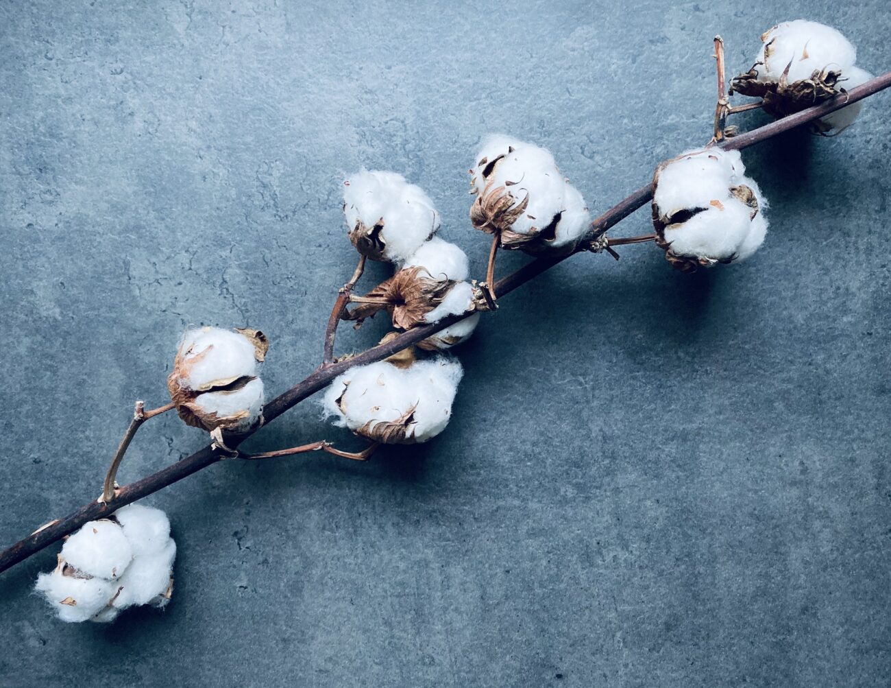 Cotton impregnate